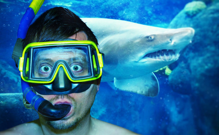 The Shark Infested Waters of Stock Photography | Catchfire Creative